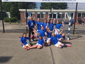 OBSDeMeander | OBSDeMeander