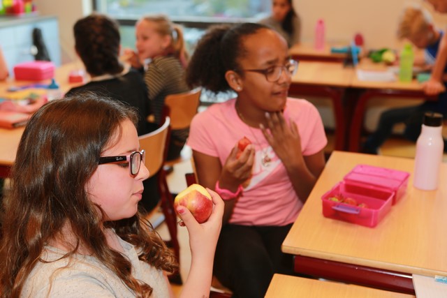 website media23042018_047 | OBSDeMeander